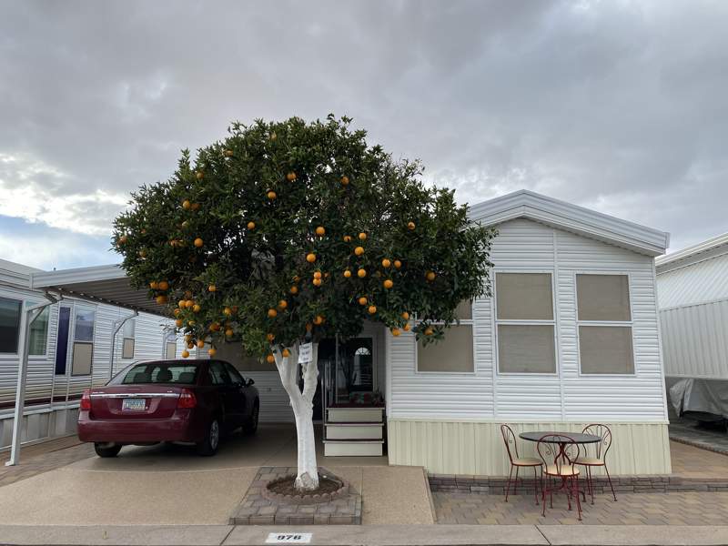 702 S. Meridian Rd. # 0976, Apache Junction, AZ 85120 (For Sale ...