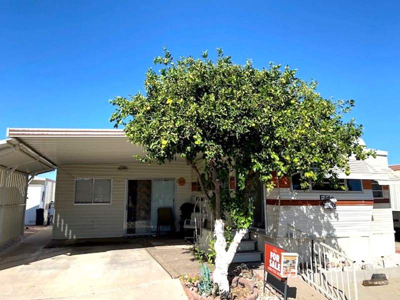 Park Model Homes for sale | 55+ Community in Apache Junction